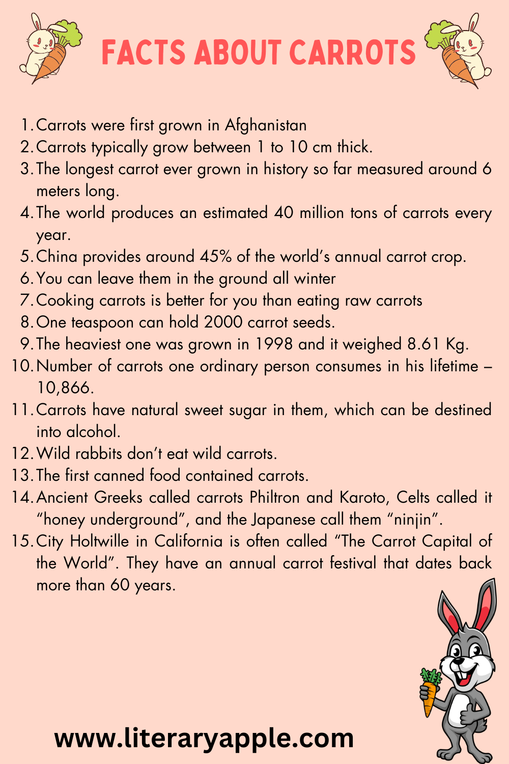 Infographics of Carrot - Literary Apple