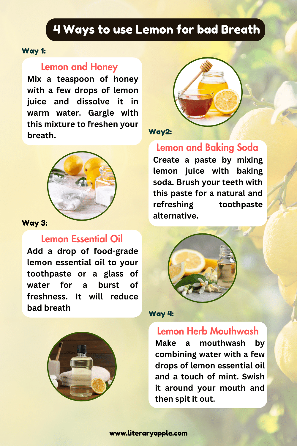 Infographics of Lemon - Literary Apple
